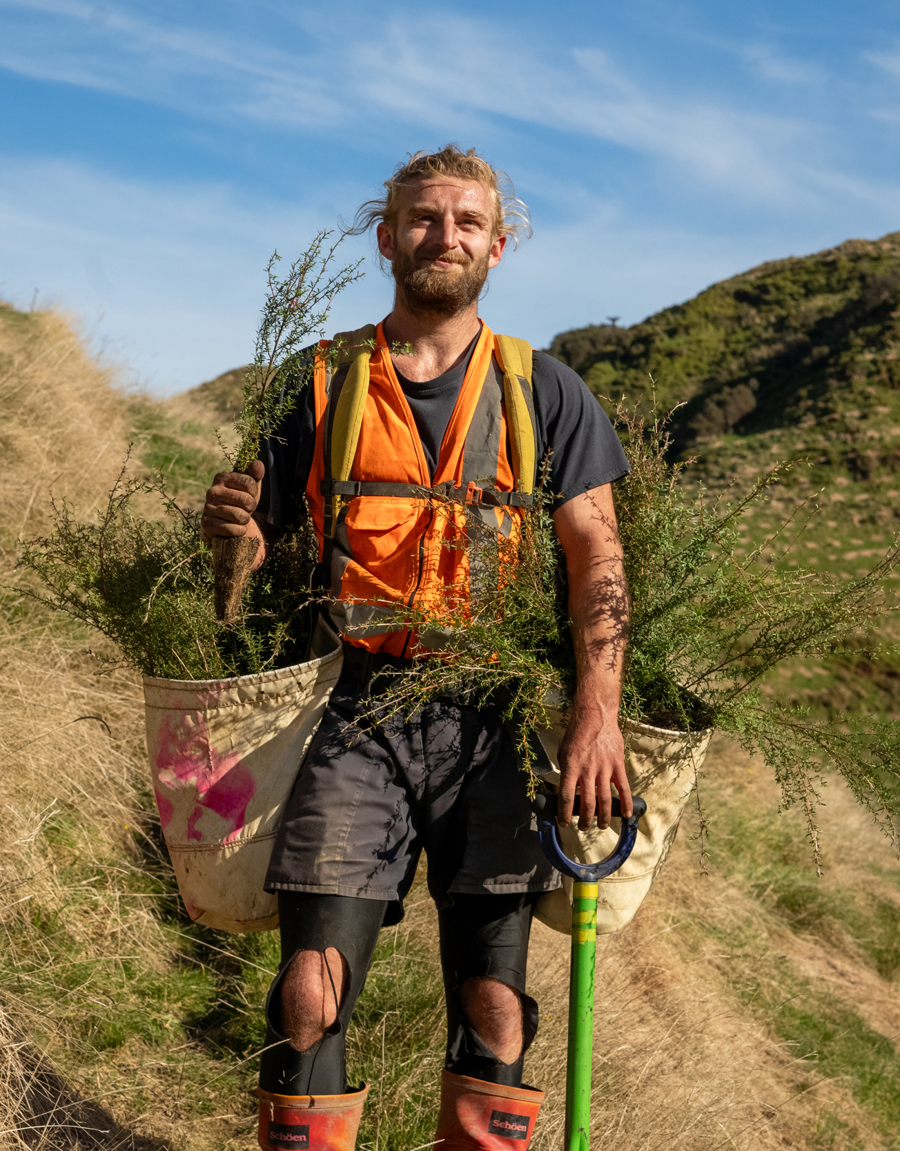 Native Forest Restoration Trust - Strategy Collective